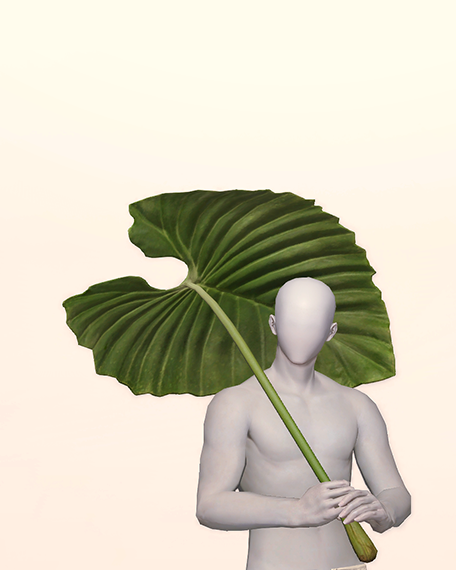 Giant Leaf Parasol | Eorzea Collection